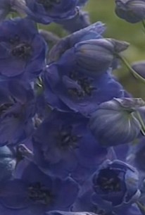 Teletubbies: Season 2, Episode 45 | Rotten Tomatoes