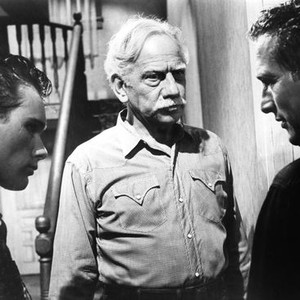 Paul Newman - Rotten Tomatoes