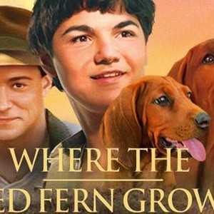 Where the Red Fern Grows (2003) - Rotten Tomatoes
