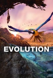Evolution | Rotten Tomatoes