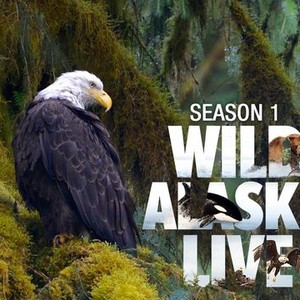 Wild Alaska Live - Rotten Tomatoes