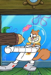 SpongeBob SquarePants: Season 13, Episode 22 | Rotten Tomatoes