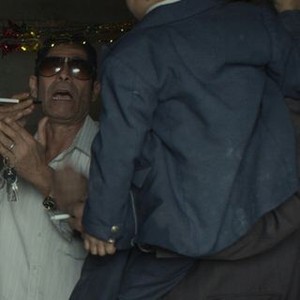 Feathers - Rotten Tomatoes