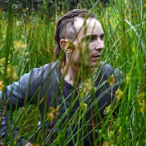 Martin McCann - Rotten Tomatoes