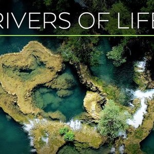 Rivers of Life - Rotten Tomatoes