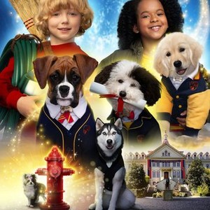 Pup Academy - Rotten Tomatoes