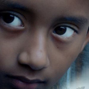 Yochi - Rotten Tomatoes