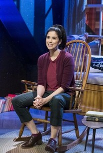 I Love You, America With Sarah Silverman: Season 1, Episode 7 | Rotten ...