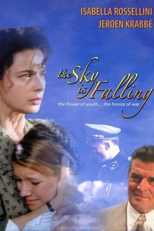 falling from the sky 1995