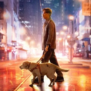 Little Q - Rotten Tomatoes