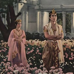 Buddha - Rotten Tomatoes