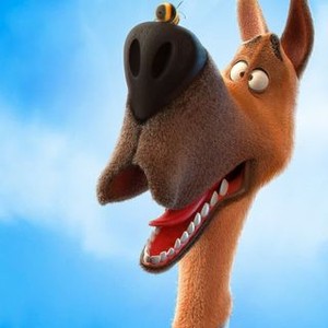 Marmaduke - Rotten Tomatoes