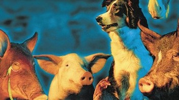 Animal Farm Movie 1999