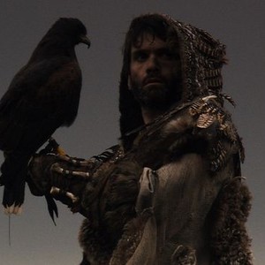 Hawk - Rotten Tomatoes