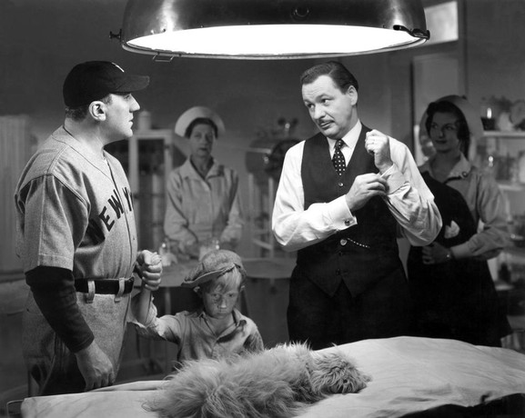 Wilton Graff Actor Wilton Graff • FlixPatrol