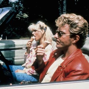 The Flodders - Rotten Tomatoes