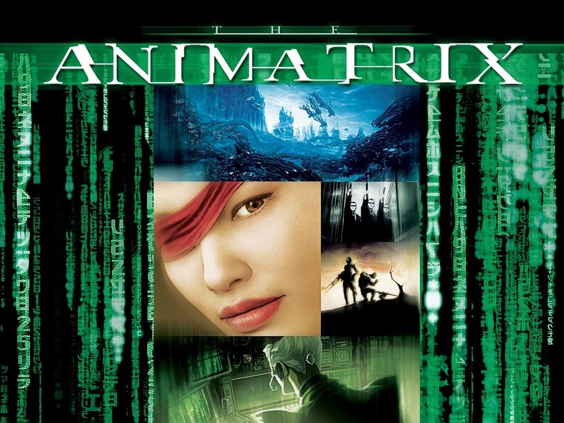 The Animatrix Poster