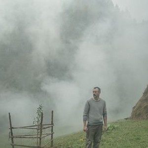 Pamfir - Rotten Tomatoes