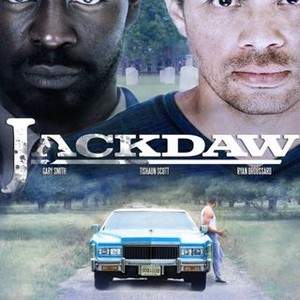 Jackdaw - Rotten Tomatoes