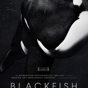 Blackfish - Rotten Tomatoes