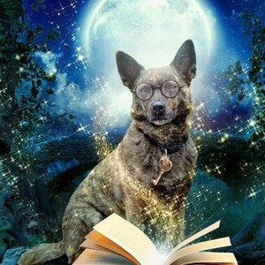 The Amazing Wizard of Paws - Rotten Tomatoes