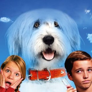 Abner, the Invisible Dog - Rotten Tomatoes