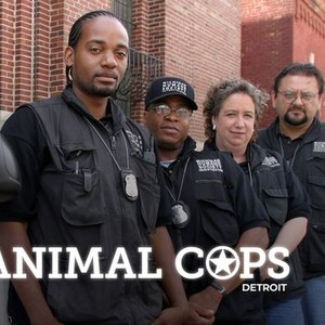 Animal Cops: Detroit - Rotten Tomatoes