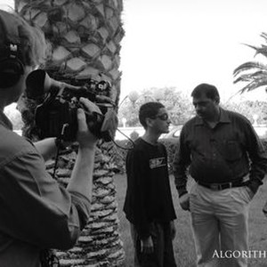 Algorithms - Rotten Tomatoes