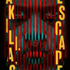 Akilla's Escape - Rotten Tomatoes