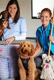 Waffle the Wonder Dog: Season 3, Episode 12 - Rotten Tomatoes