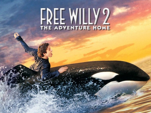 Free Willy 2 The Adventure Home Star Childrens Free Willy 2: The