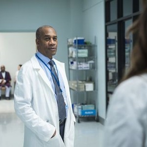 Proof - Rotten Tomatoes