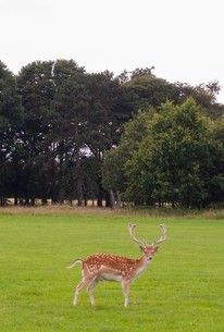 Country House Rescue: Season 3, Episode 5 | Rotten Tomatoes