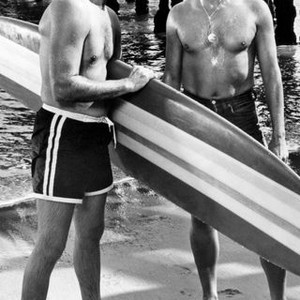 Surf Party - Rotten Tomatoes