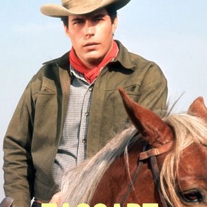 Taggart - Rotten Tomatoes