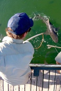 Desert Vet: Season 2, Episode 4 | Rotten Tomatoes