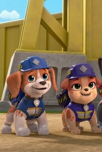 Rubble And Crew: Season 1, Episode 3 | Rotten Tomatoes