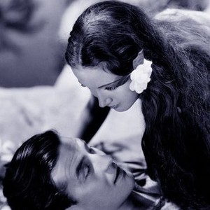 The Jungle Princess - Rotten Tomatoes