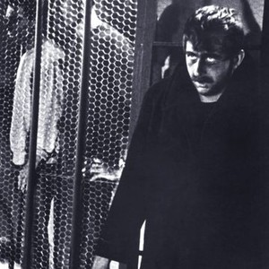 Teenage Zombies - Rotten Tomatoes