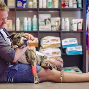 Desert Vet - Rotten Tomatoes