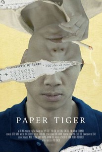 Paper Tiger | Reviews | Rotten Tomatoes