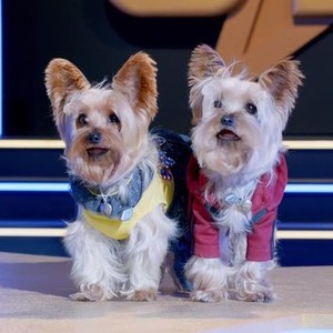 Pup Star: Better 2Gether - Rotten Tomatoes