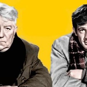 A Monkey in Winter - Rotten Tomatoes