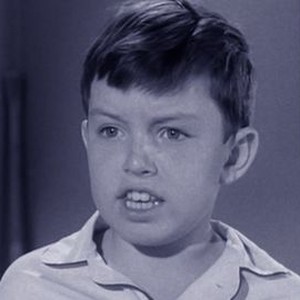 Leave It to Beaver: Season 2, Episode 25 - Rotten Tomatoes