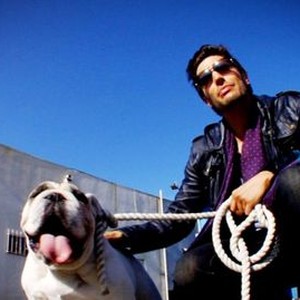 Shawn Andrews - Rotten Tomatoes