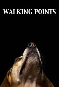 Walking Points | Rotten Tomatoes