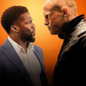 The Man From Toronto - Rotten Tomatoes