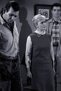 The Fugitive: Season 1, Episode 20 | Rotten Tomatoes