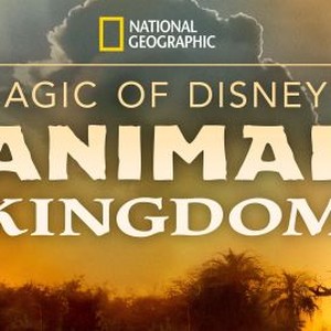 Magic of Disney's Animal Kingdom - Rotten Tomatoes