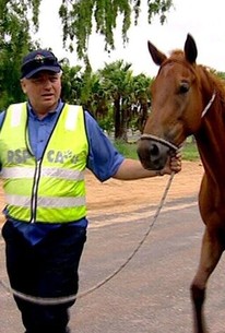 RSPCA Animal Rescue: Season 2, Episode 11 | Rotten Tomatoes